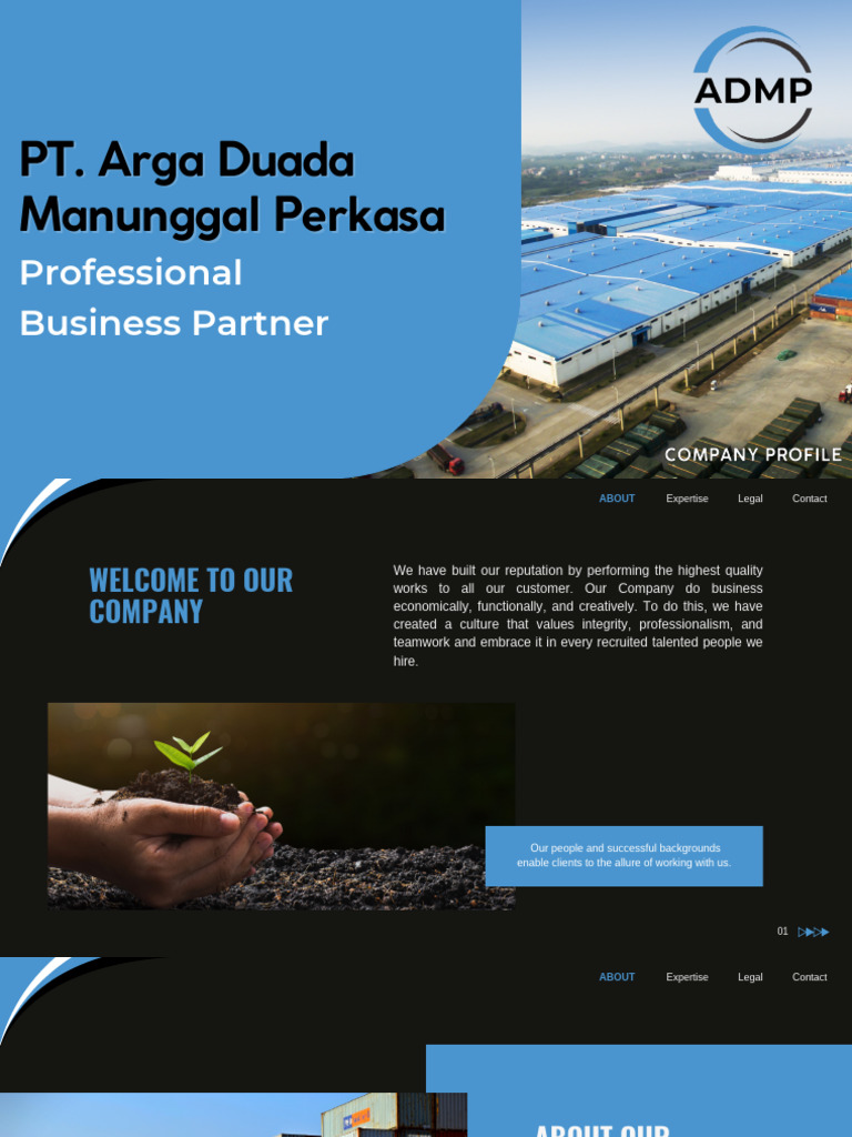 Cmpro | PDF | Economies | Business