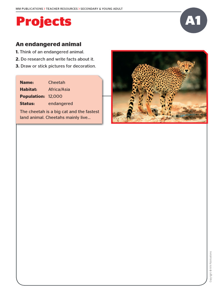Endangered Animal Project: Cheetah | PDF