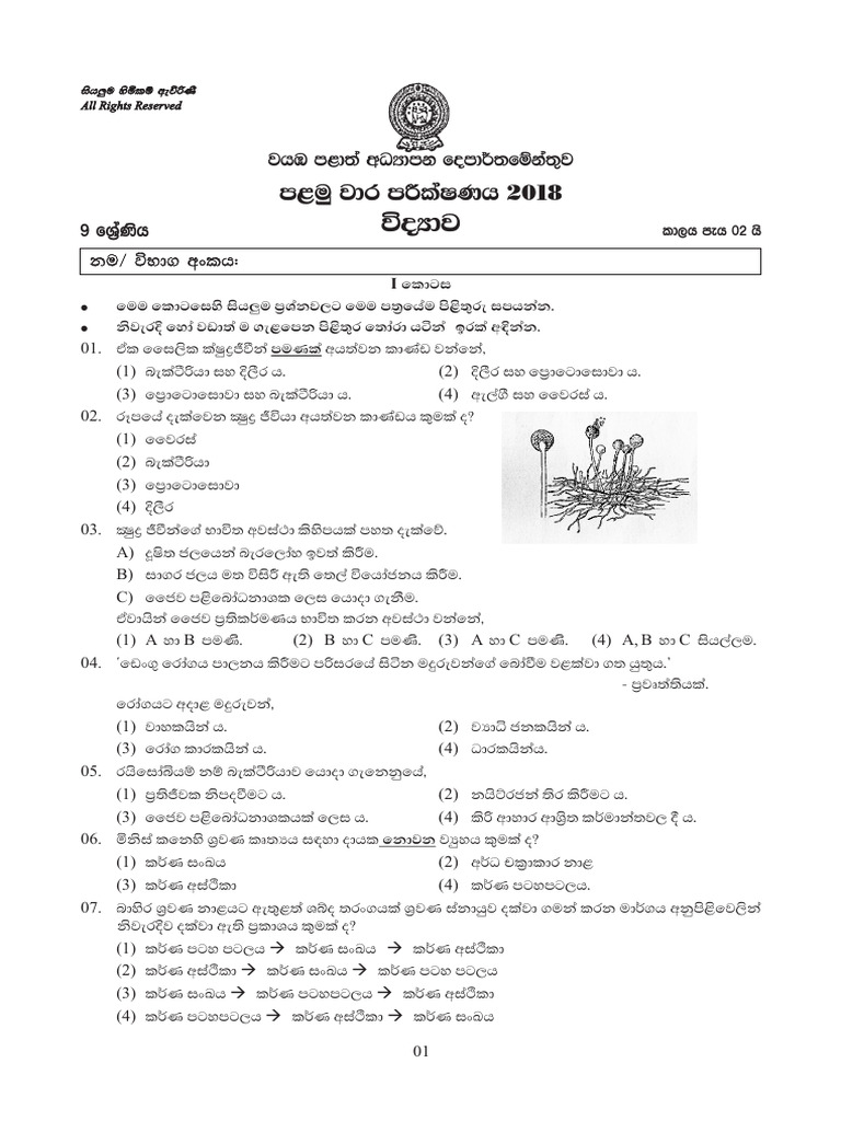 Grade 09 Science 1st Term Test Paper 2018 North Western Province | PDF