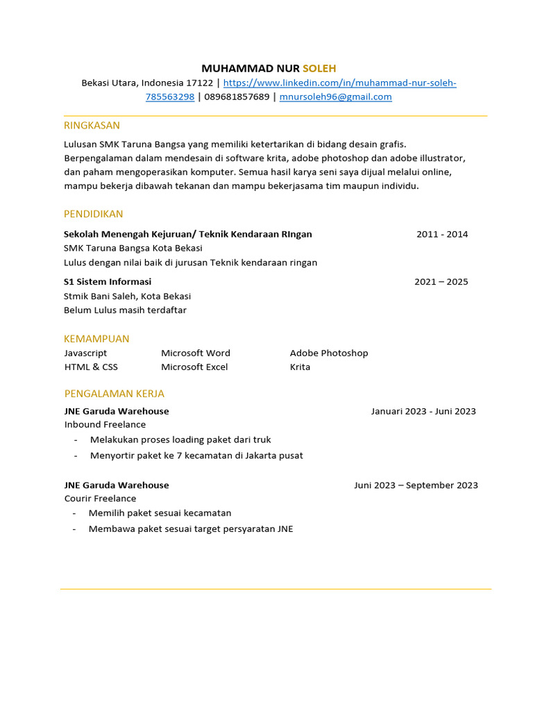CV Muhammad Nur Soleh | PDF