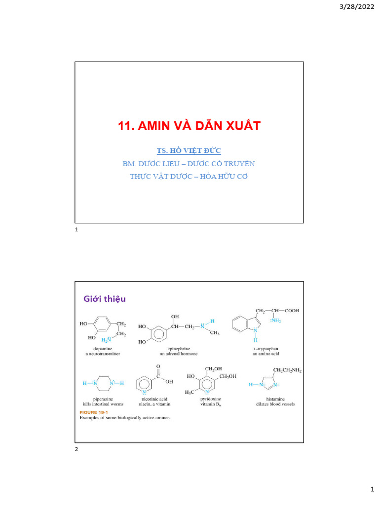 Bài 11 - Amin và dẫn xuất - 2 | PDF