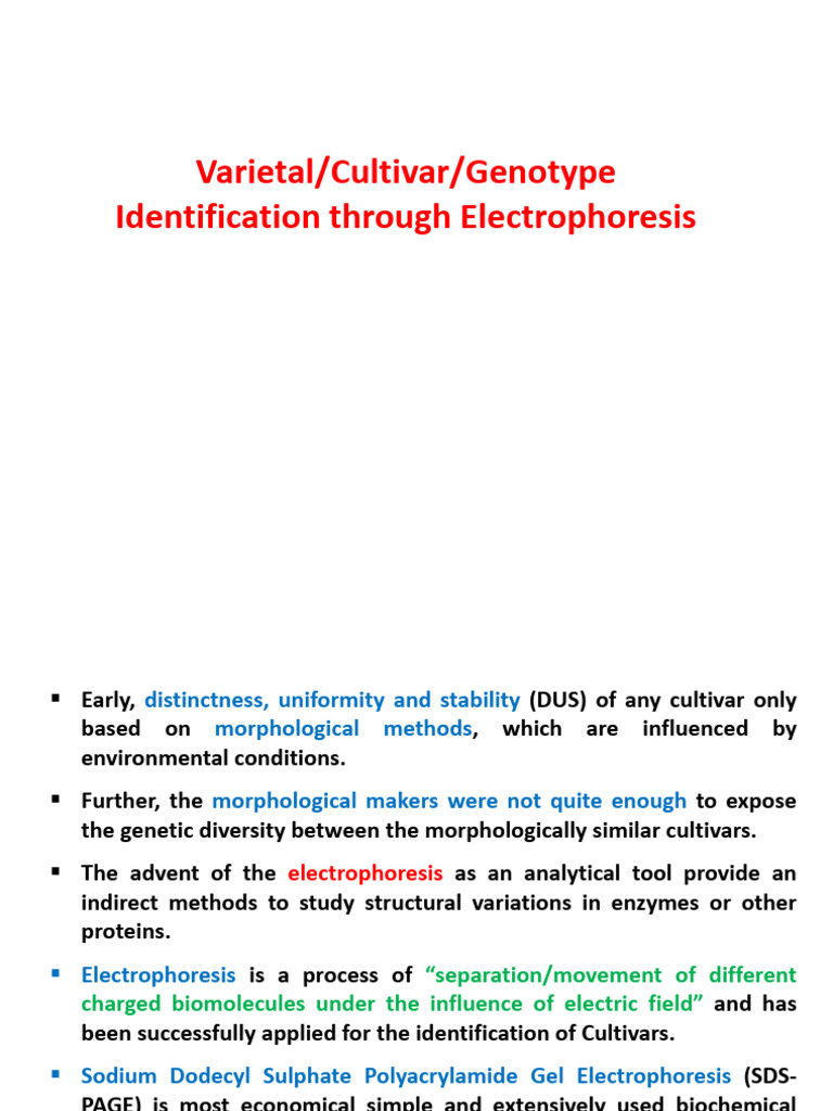Electrophoresis For Varietal Identification | Download Free PDF | Gel Electrophoresis ...