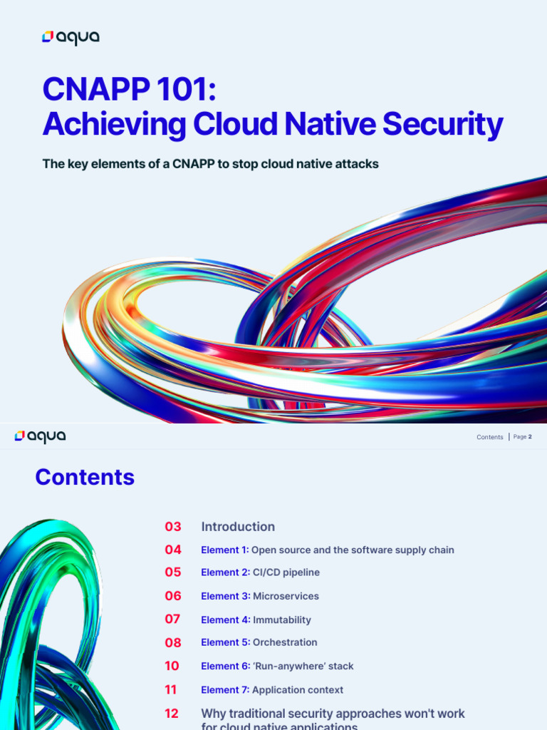 AquaSecurity - Cloud Native Application Protection Platform CNAPP | PDF | Cloud Computing ...