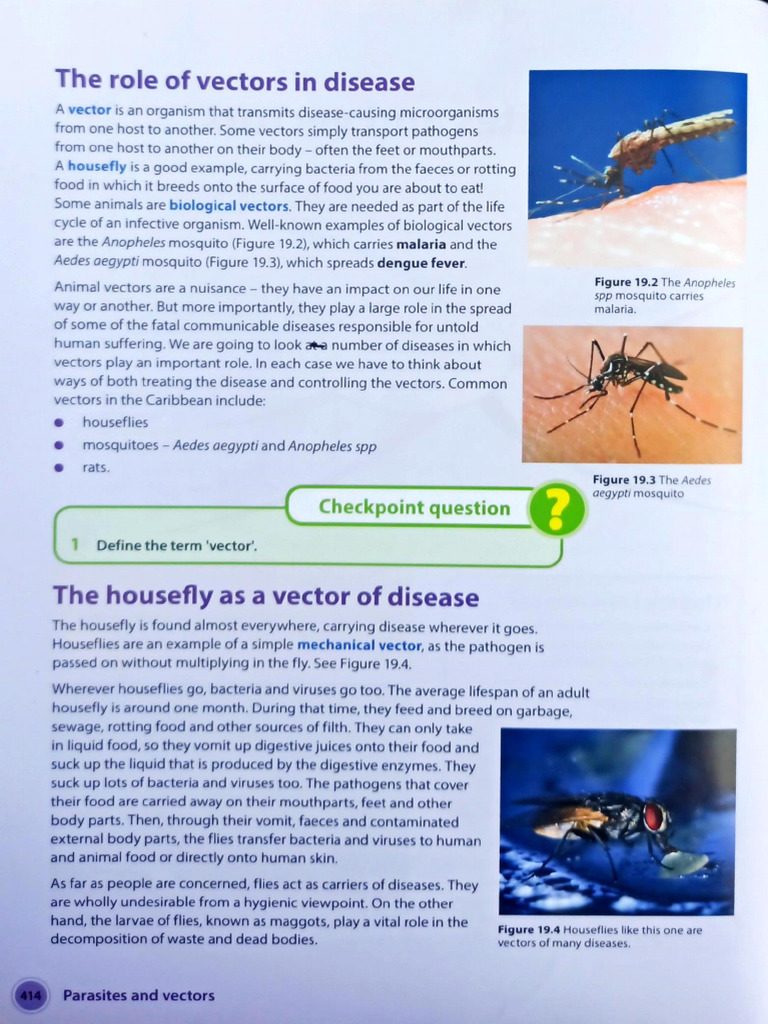 Theroleofvectorsindisease (P1) | PDF | Malaria | Mosquito