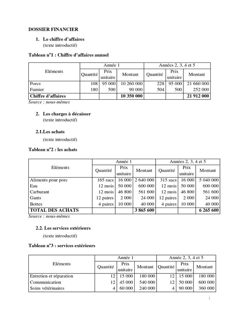 Exemple de dossier financier détaillé | PDF | Les sociétés | Économie ...