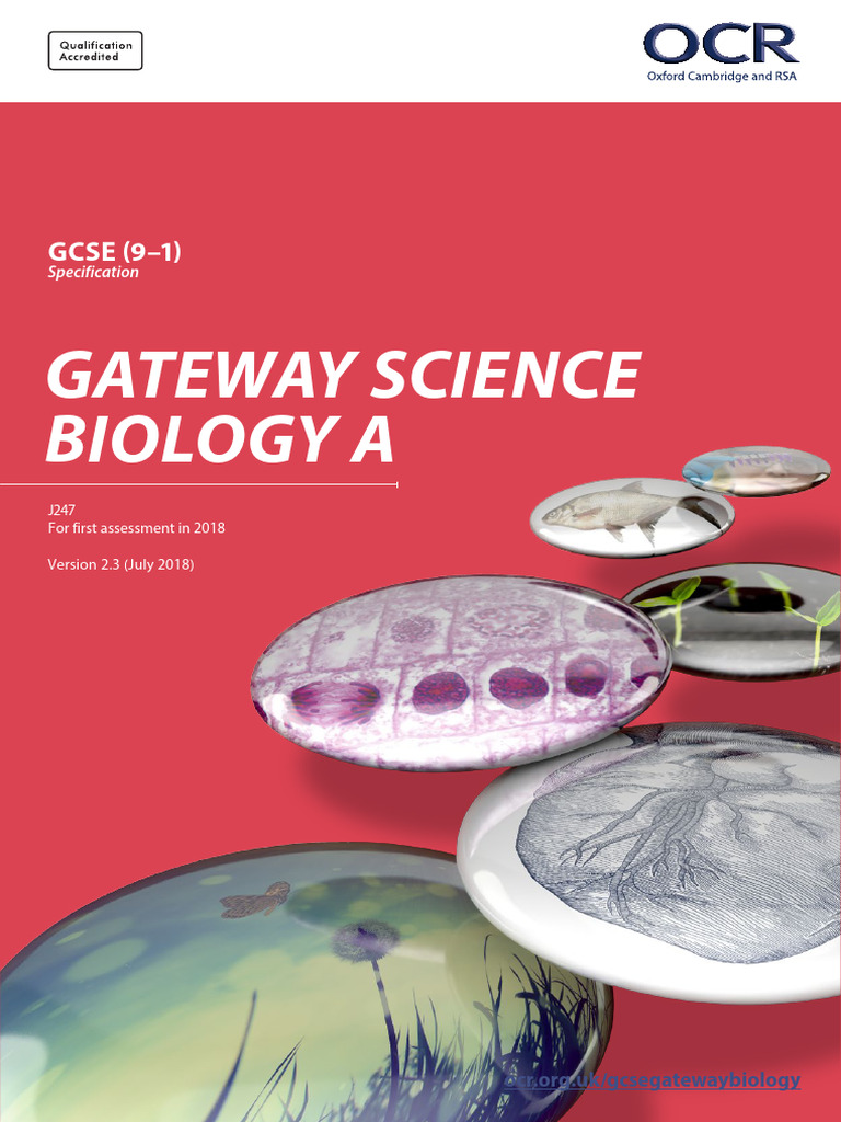 Specification Accredited Gcse Gateway Science Suite Biology A j247 ...