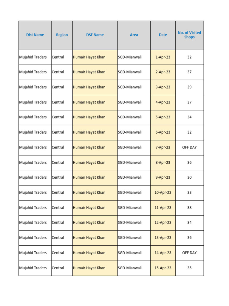 DSF Sales Record Format | PDF