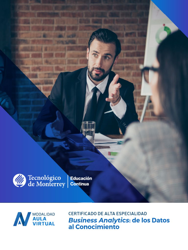 AV - Business Analytics | PDF | Diseño | Inteligencia de negocios