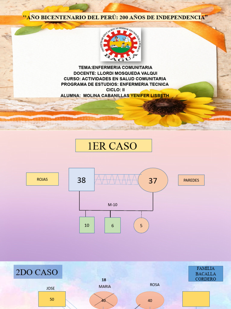 Instrumentos de Valoracion Familiar -Yenifer | PDF