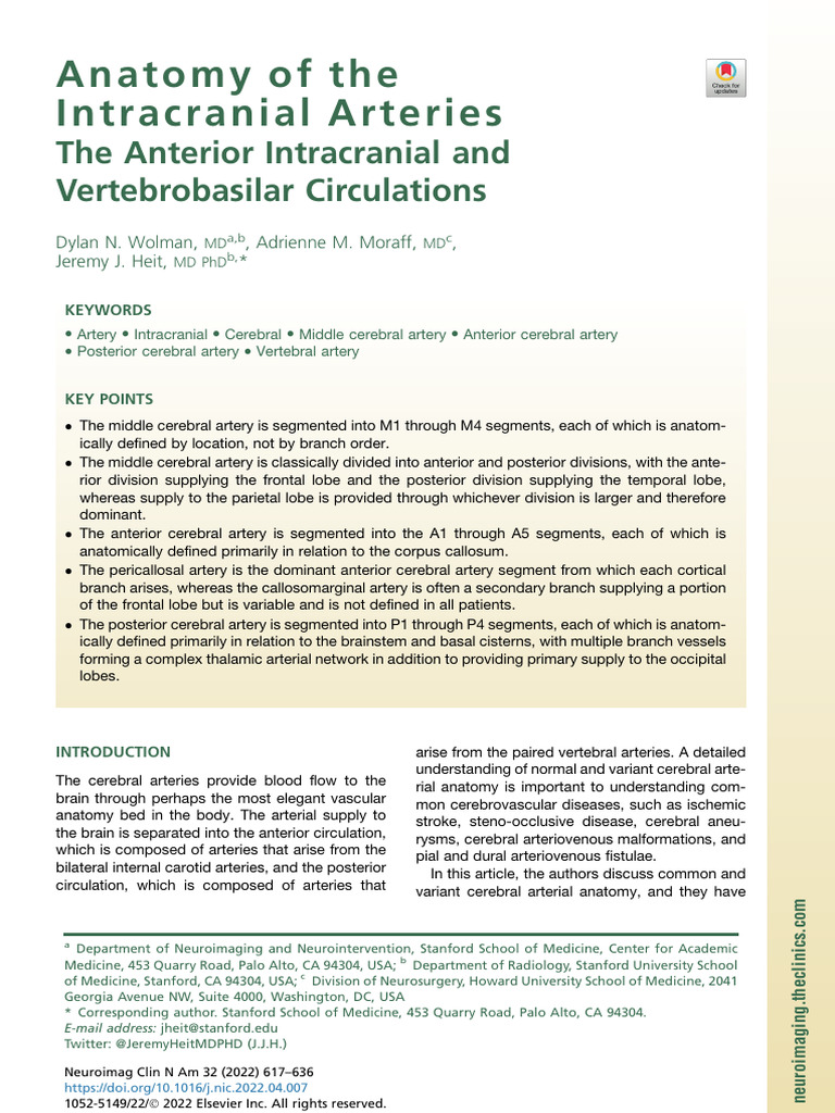 Anatomy of The Intracranial - 240401 - 093814 | PDF | Corpus Callosum ...