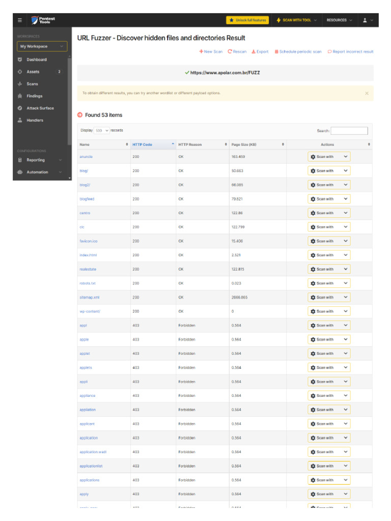 Screencapture App Pentest Tools Website Vulnerability Scanning Discover ...