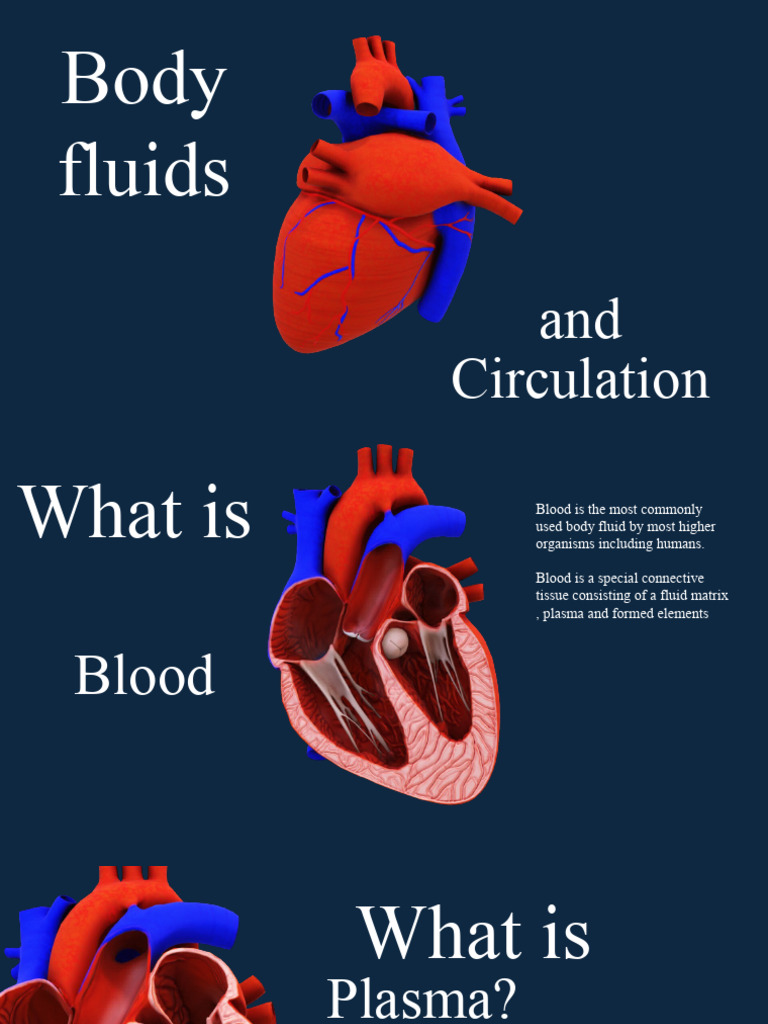 Presentation Body Fluids | PDF | Blood Type | Red Blood Cell
