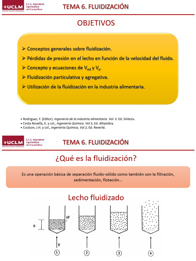 Tema 6- Fluidizacion | PDF | Fluidización | Fluido