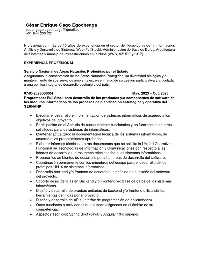 CV Cesar Gago Documentado - Perfil - Programador WEB | PDF | Software | Sistema de información ...