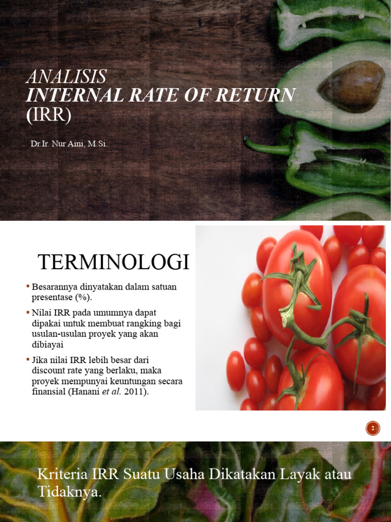 Pertemuan 14 Analisis Irr | PDF