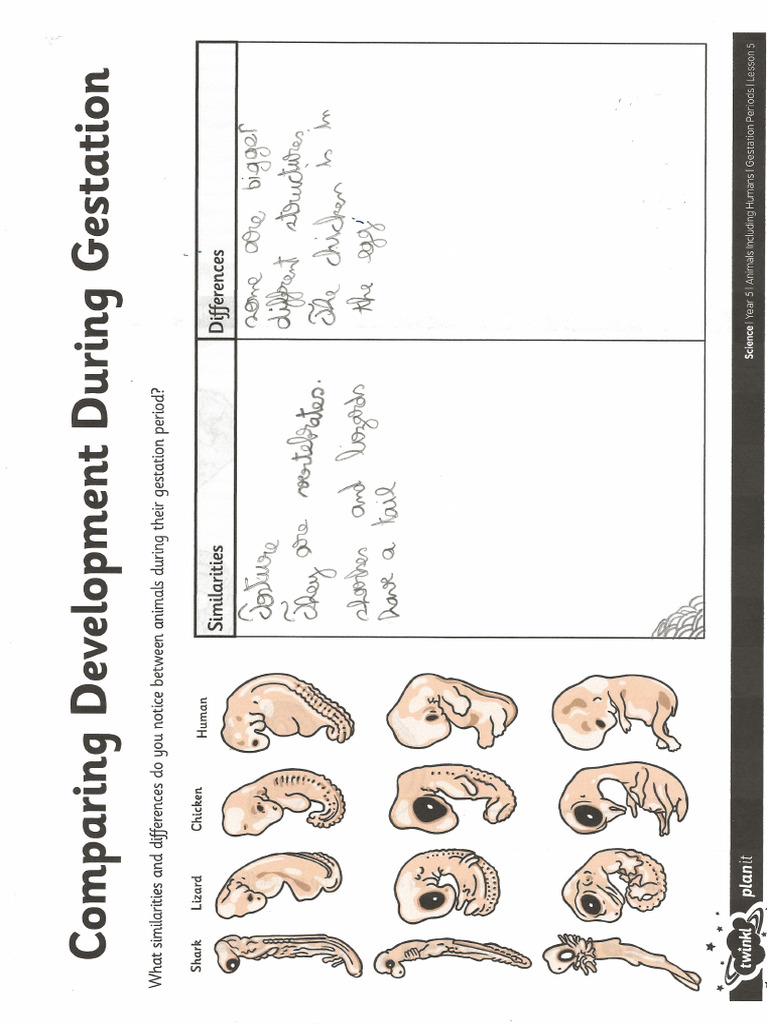 Science Development During Gestation | PDF
