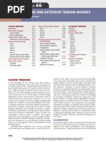 Zones of the Hand: Flexor and Extensor | PDF | Hand | Primate Anatomy