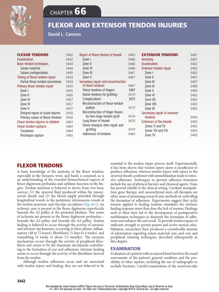 Flexor and extensor tendón repair | Download Free PDF | Finger ...