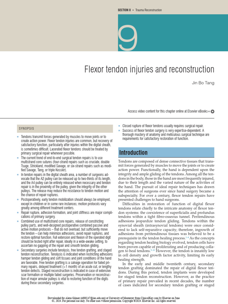 Flexor Tendon Injuries and Reconstruction | PDF | Finger | Thumb