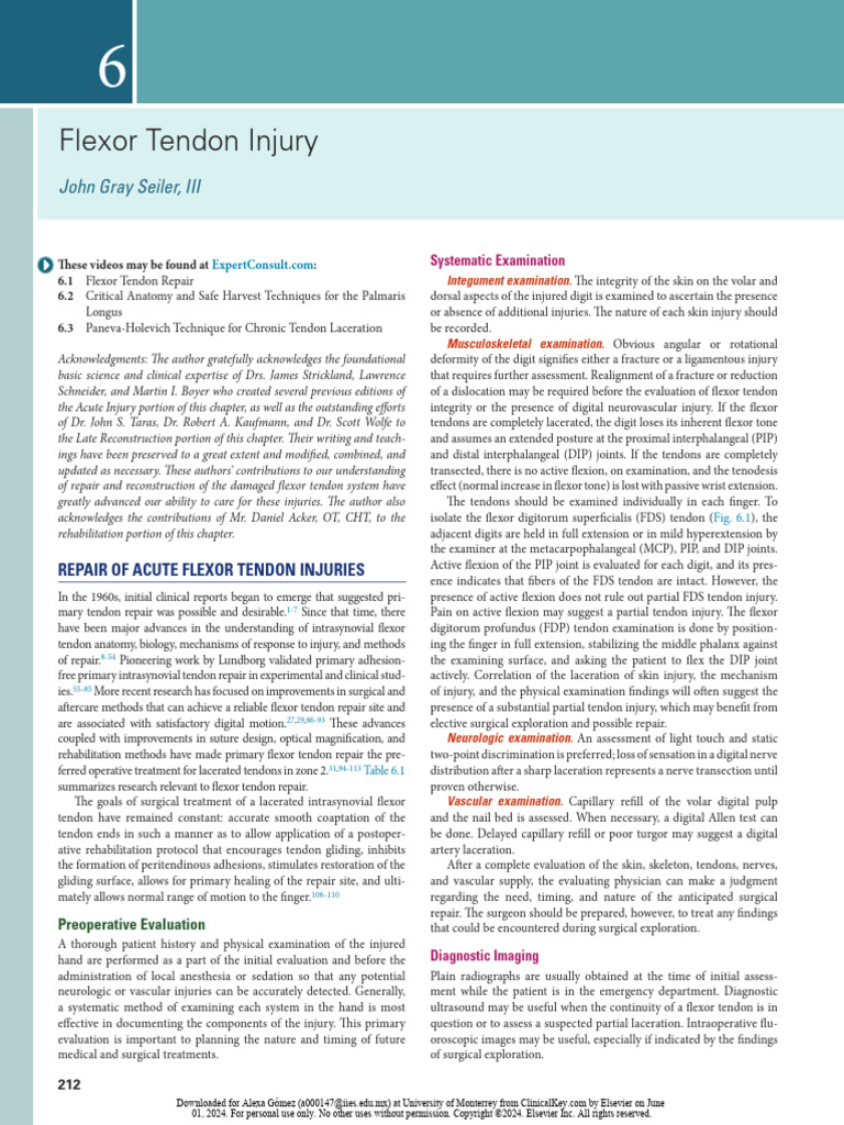 Tendon Flexor Injury | PDF | Thumb | Limbs (Anatomy)