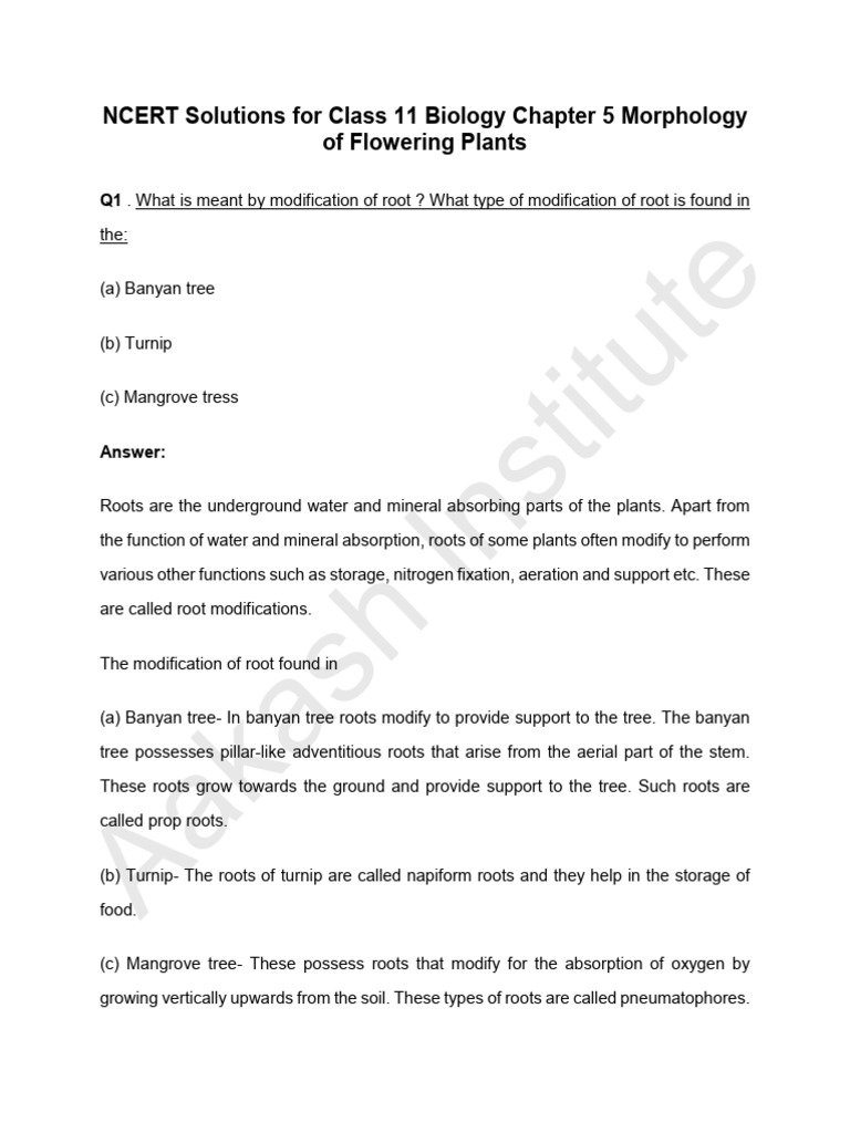Ncert Solutions Class 11 Biology Chapter 5 Morphology of Flowering ... Ncert Solutions Class 11 Biology Chapter 5 Morphology of Flowering ...