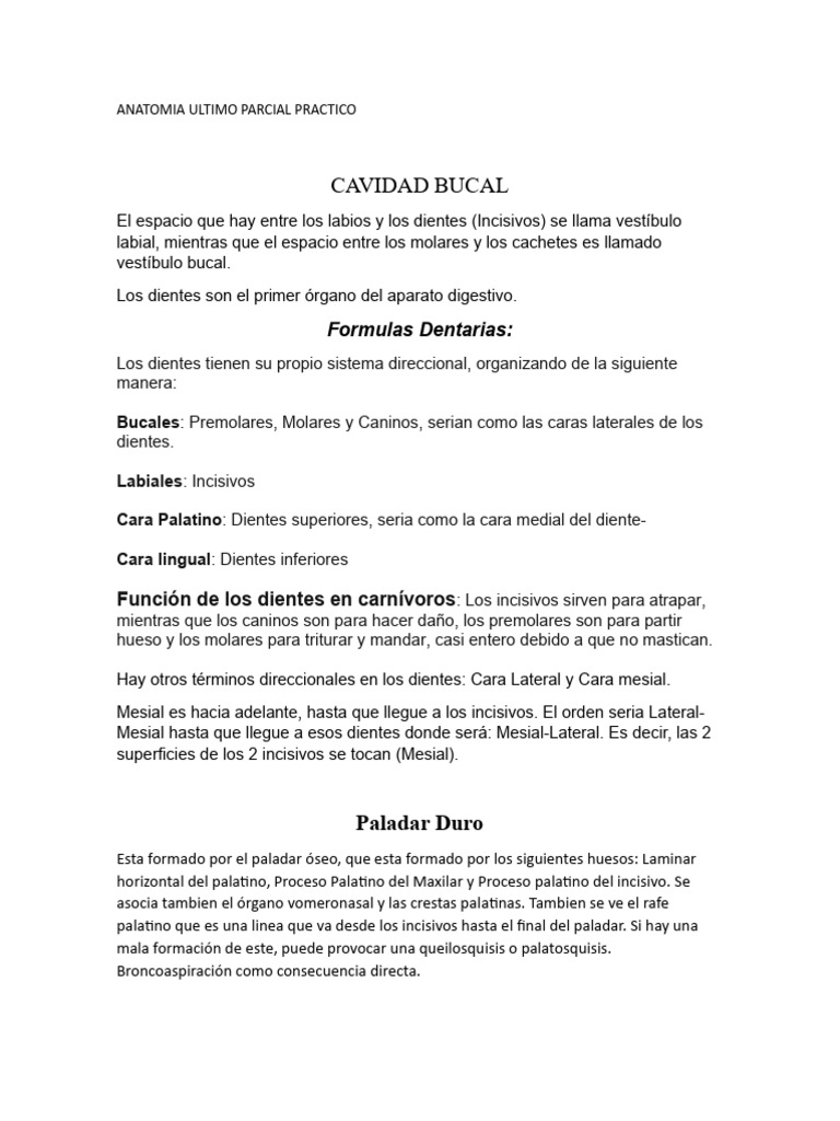 Anatomía del Aparato Digestivo Animal | PDF | Intestino grueso | Estómago