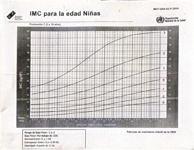 IMC NIÑAS 5 A 19 AÑOS | PDF