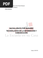 THEA Manual de Usuario para Alumnos | PDF | Aprendizaje | Informática
