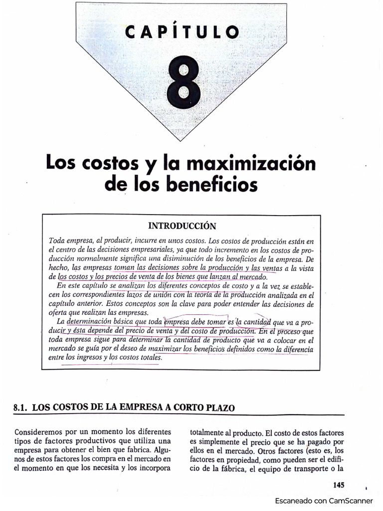 Costos - Cap 8 | PDF