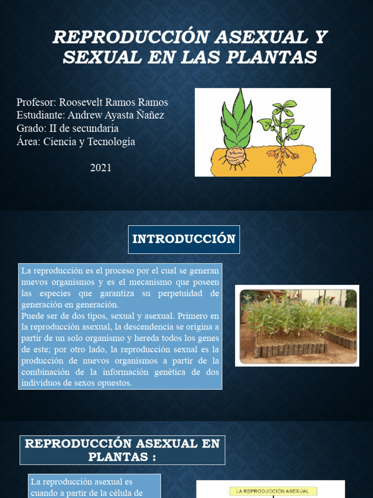 Reproducción en Plantas: Asexual y Sexual | PDF | Reproducción | Flores