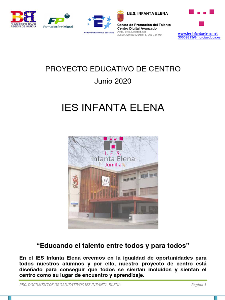 PEC 2020 Definitivo | Descargar gratis PDF | Espectro autista | Tableta