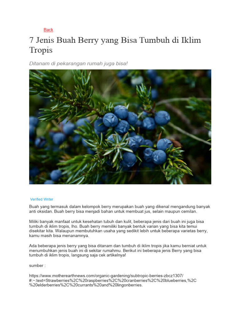 7 Jenis Buah Berry yang Bisa Tumbuh di Iklim Tropis | PDF