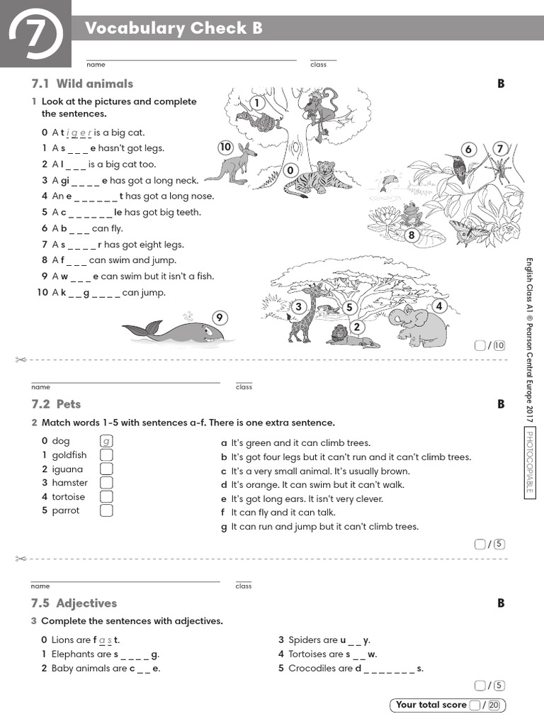 ECA1 - Tests - Vocabulary Check 7B | PDF | Zoology