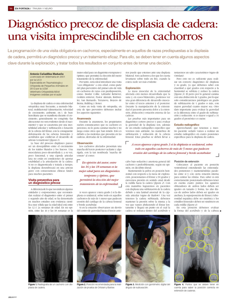 2021 Null | PDF | Rodilla | Sistema musculoesquelético