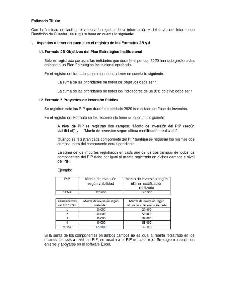 Pautas para El Envío Del Informe | PDF | Software | Informática