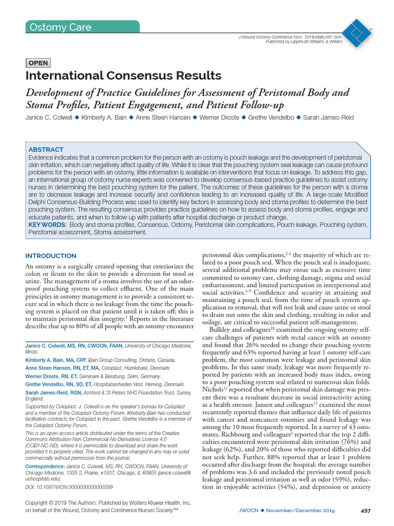 International Consensus Results Development Of.5 | PDF | Nursing ...