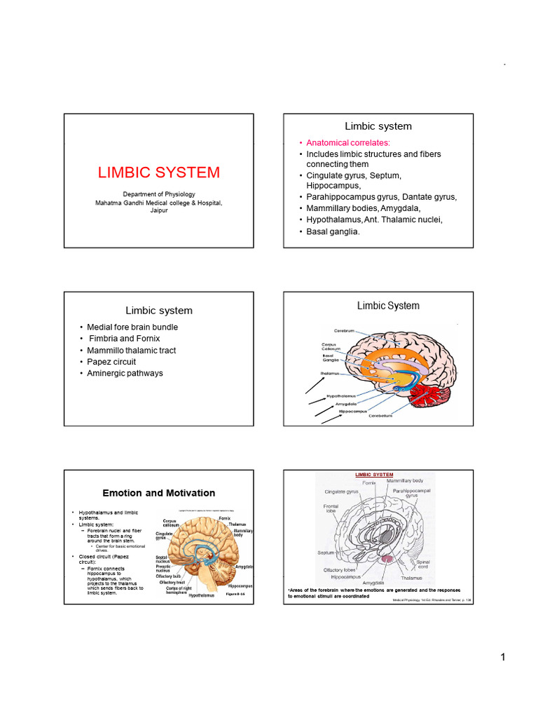 Limbic System (Compatibility Mode) | PDF | Limbic System | Amygdala