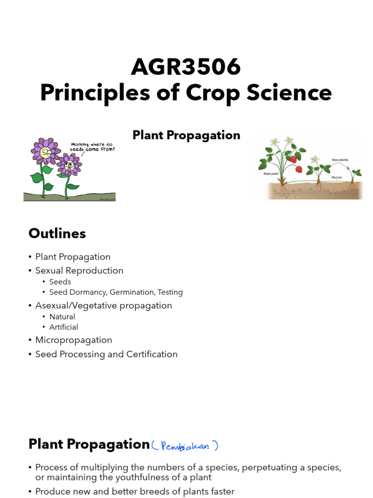 AGR3506 - Topic 2 - Plant Propagation | PDF | Seed | Germination