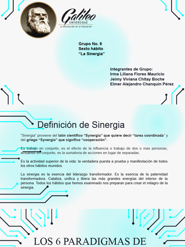 Presentacion Grupo 6 Sinergia | PDF | Business