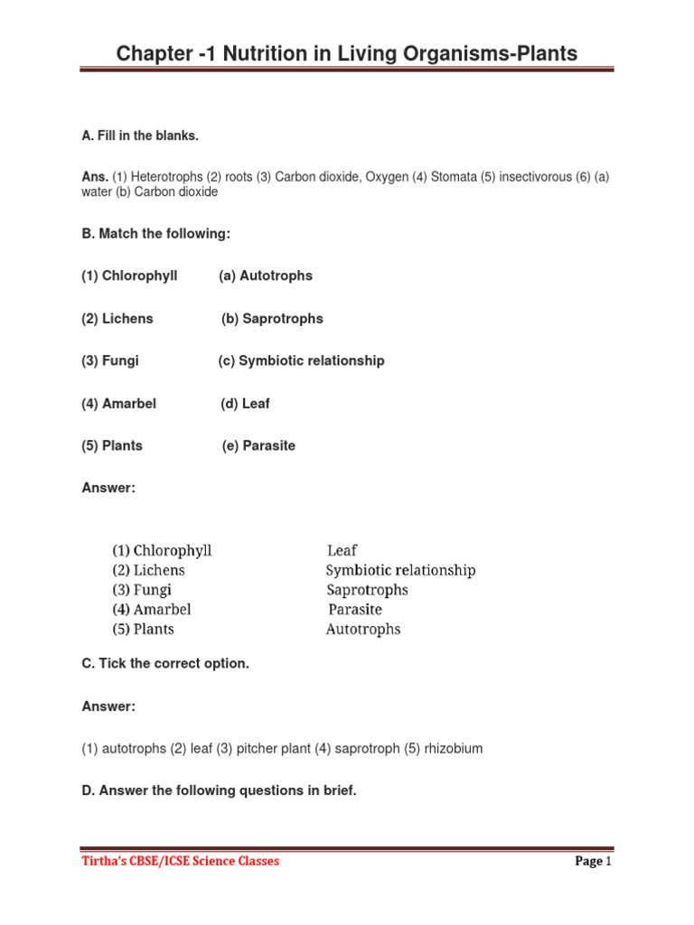 Chapter - 1 Nutrition in Living Organisms-Plants | PDF | Nutrition ...