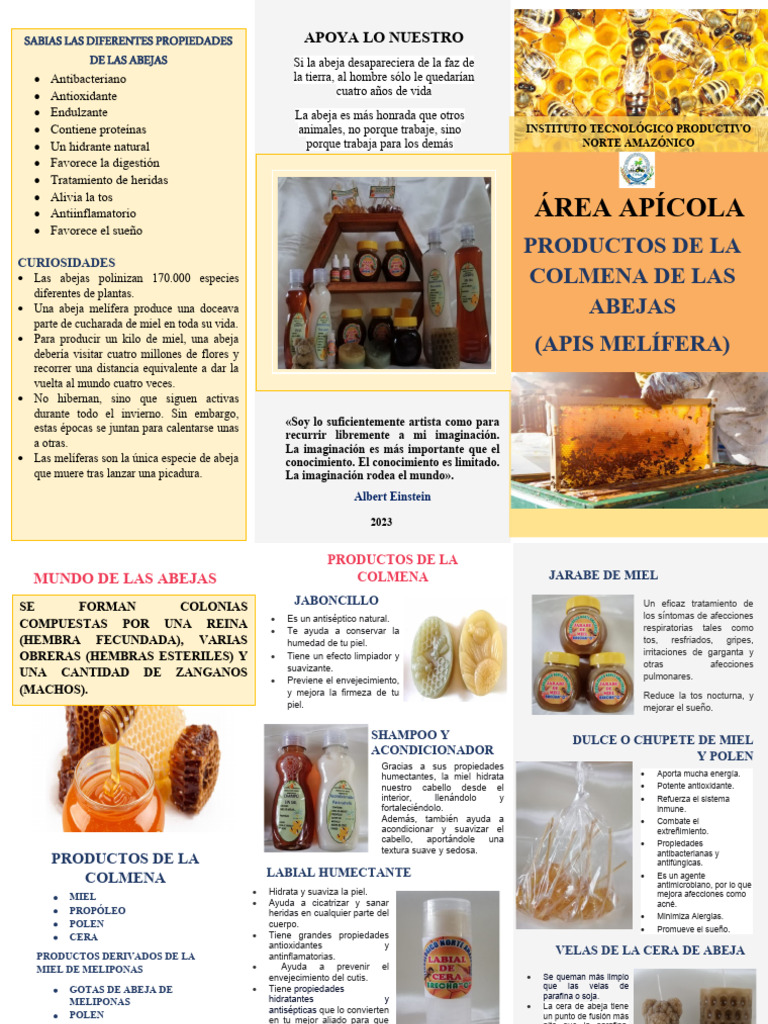 Triptico Carol Abejas | PDF | Miel | Abejas