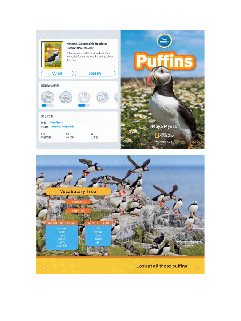 27 Puffins | PDF