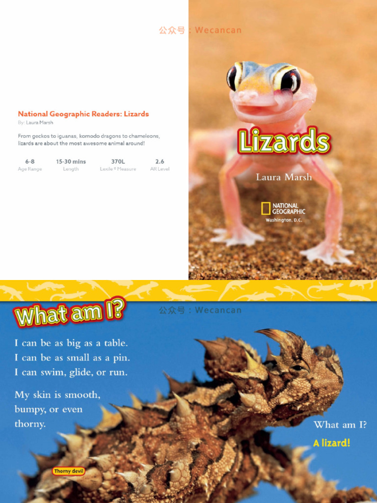05-Lizards | PDF