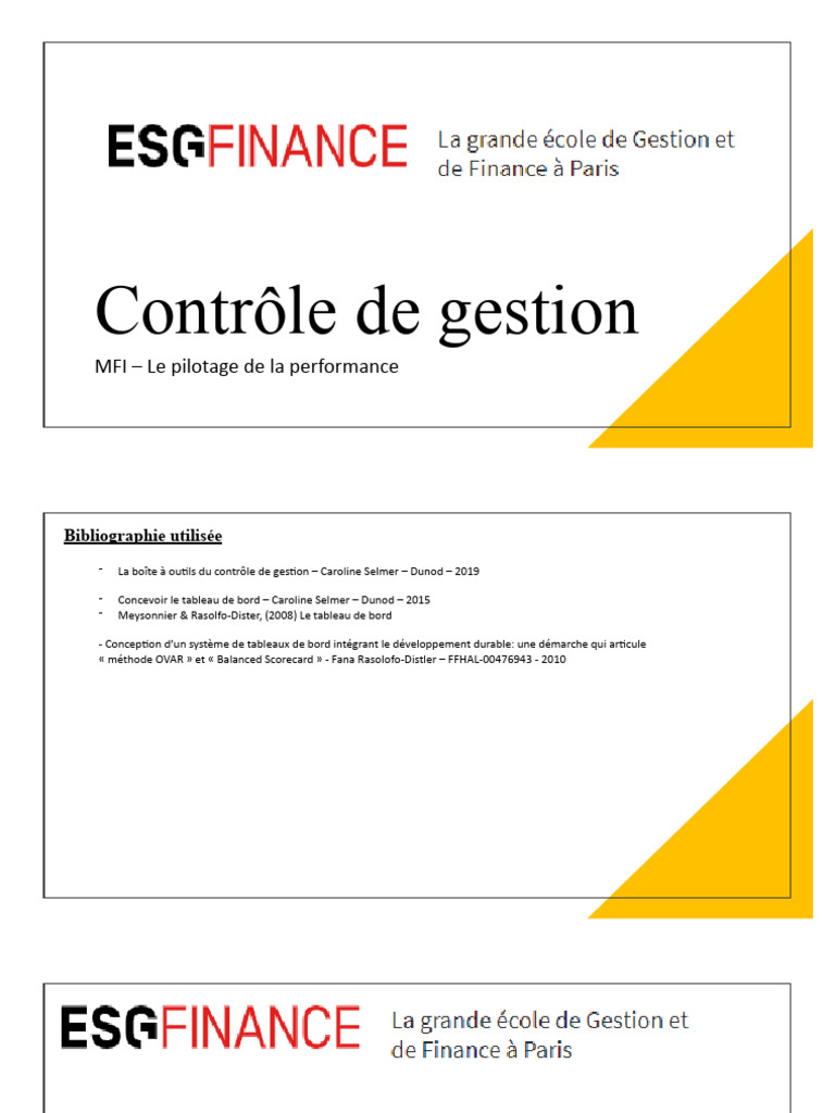 2 CDG Et Management de La Performance-Le Pilotage | PDF | Indicateur ...