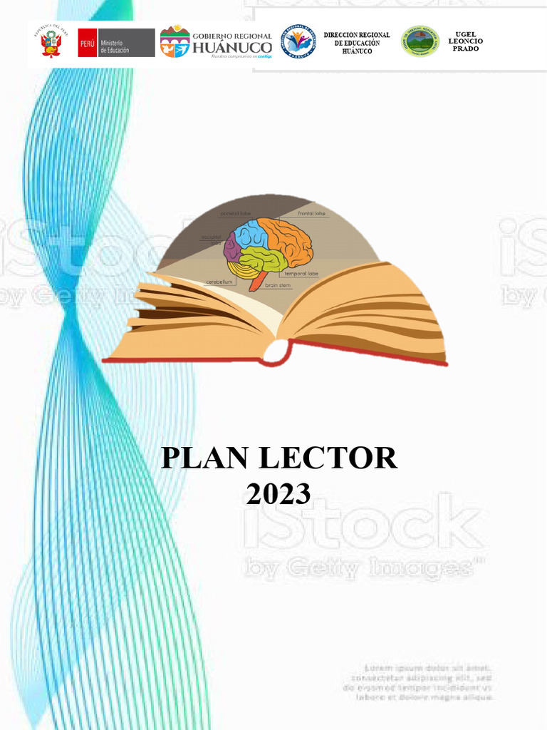 1 Plan Lector - 2024 | Descargar gratis PDF | Educación primaria | Evaluación