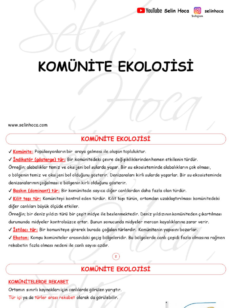 Komeko | PDF