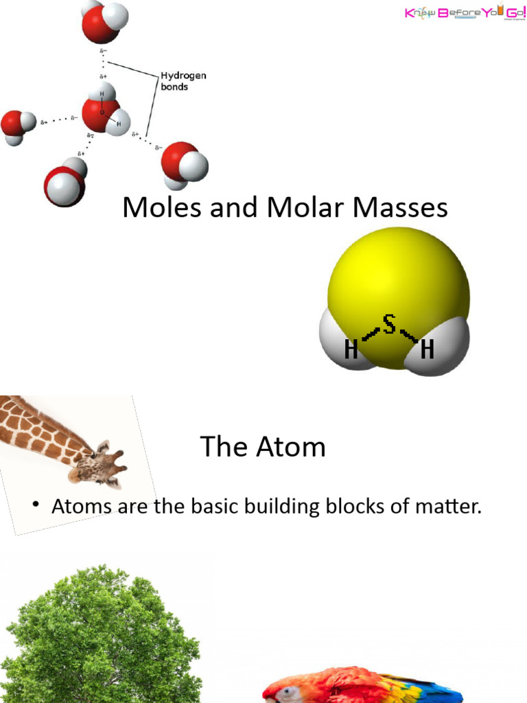 5a. Moles & Molar Masses and Balancing Equat | PDF | Mole (Unit ...