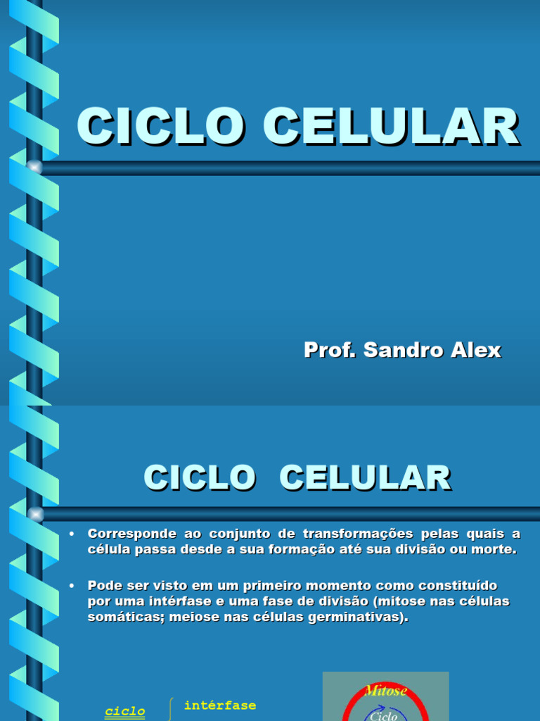 Ciclo Celular Pdf Meiose Mitose