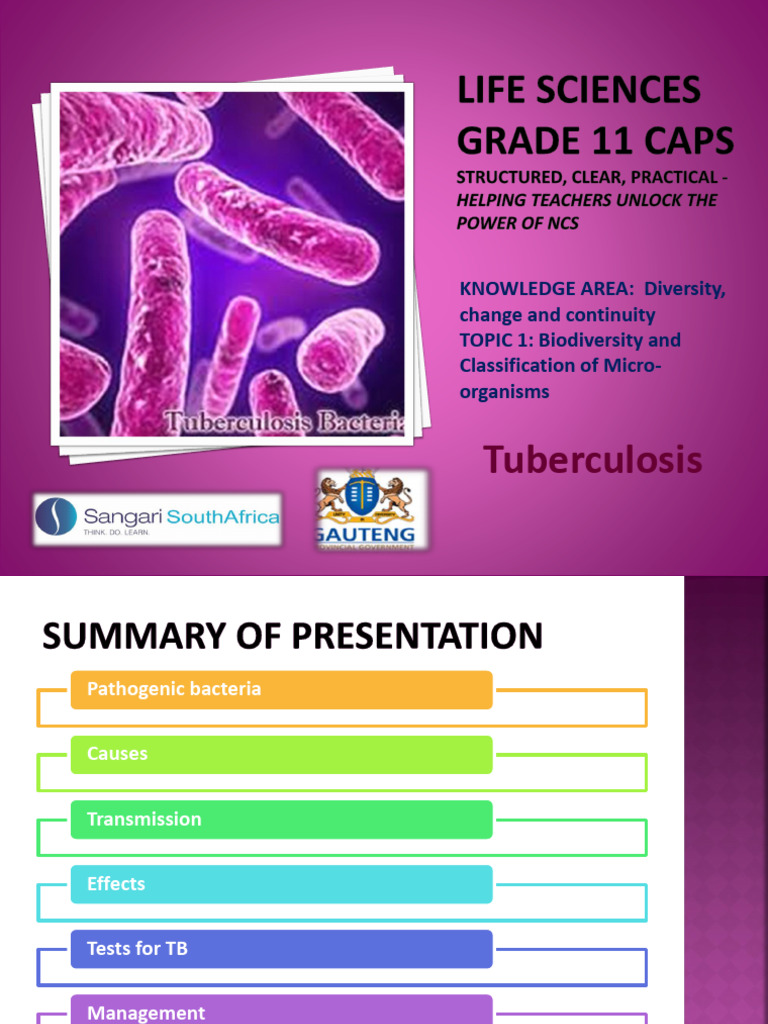 PP4 Tuberculosis | PDF | Tuberculosis | Pathogen