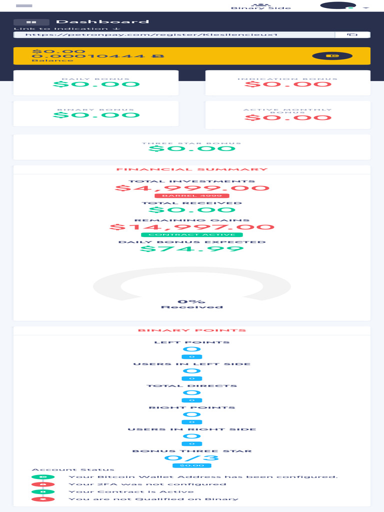 PetronPay Dashboard & Financial Summary | PDF